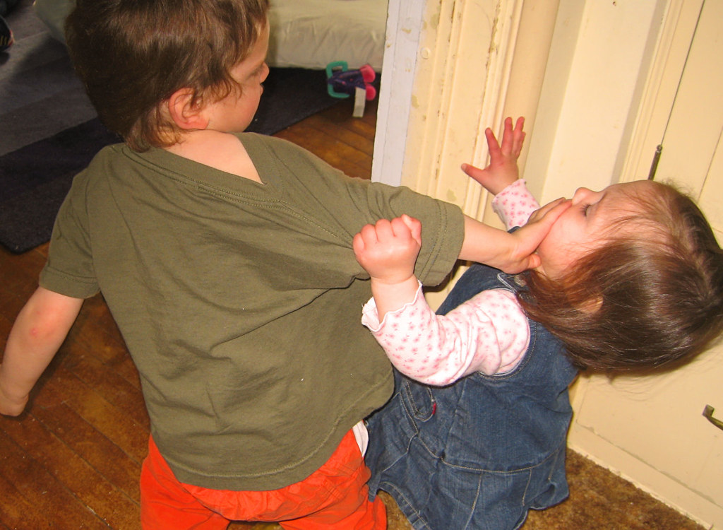 Nearly 30% of kids experience sibling bullying – as either bully or ...